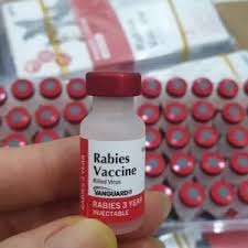 Vaccine Dại Vanguard Rabies-3Y CHO CHÓ MÈO (VACCIN DẠI ) Pet&Joi Petshop