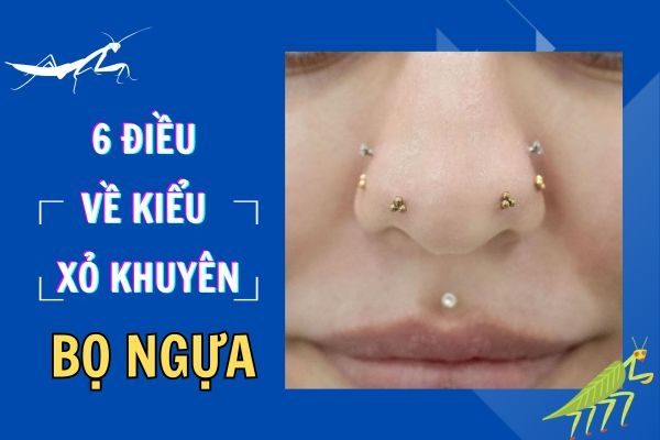 Xỏ khuyên mũi bọ ngựa và 6 điều có thể bạn chưa biết