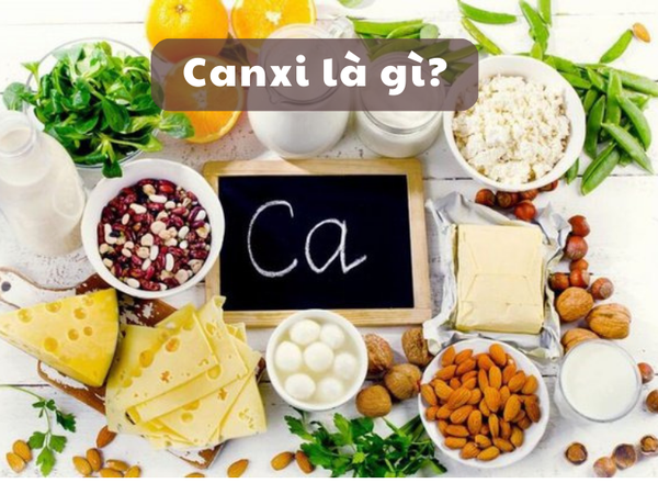 Canxi là gì? Những thực phẩm chứa nhiều canxi