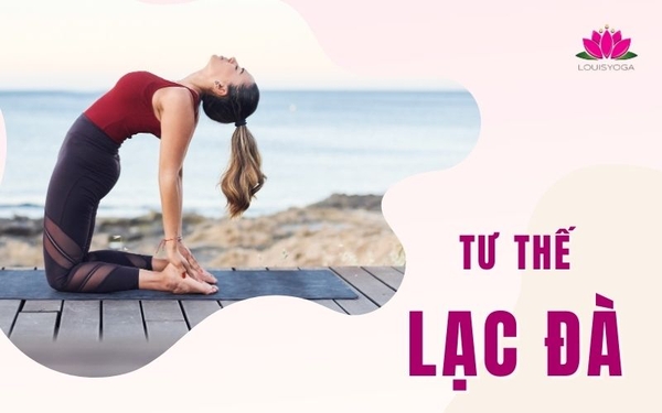 Tư thế lạc đà: Lợi ích - Cách thực hiện - Lưu ý quan trọng