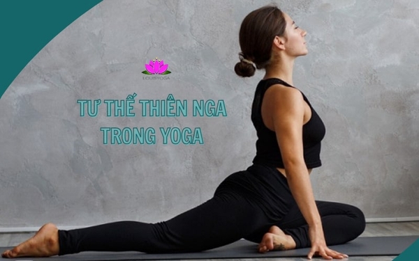 Tư thế thiên nga trong Yoga: Nâng cao sự dẻo dai cho cột sống