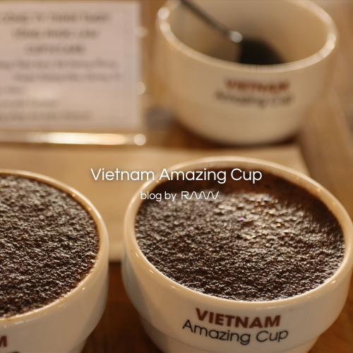 Vietnam Amazing Cup | RAAW