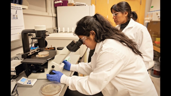 Toxicology Lab Equipment Neotech Solutions