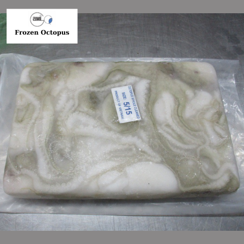 Frozen Octopus Amigo Seafood Processing JSC