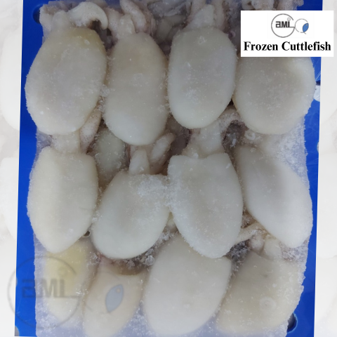 Frozen Cuttlefish Amigo Seafood Processing JSC
