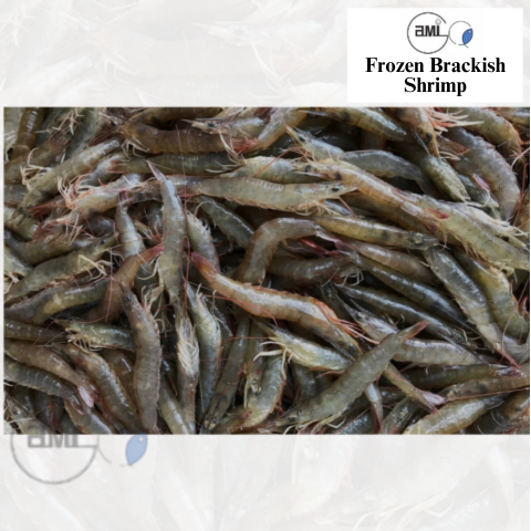 Frozen Brackish Shrimp Amigo Seafood Processing JSC