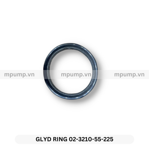 Glyd Ring 02-3210-55-225 >> Wilden T2