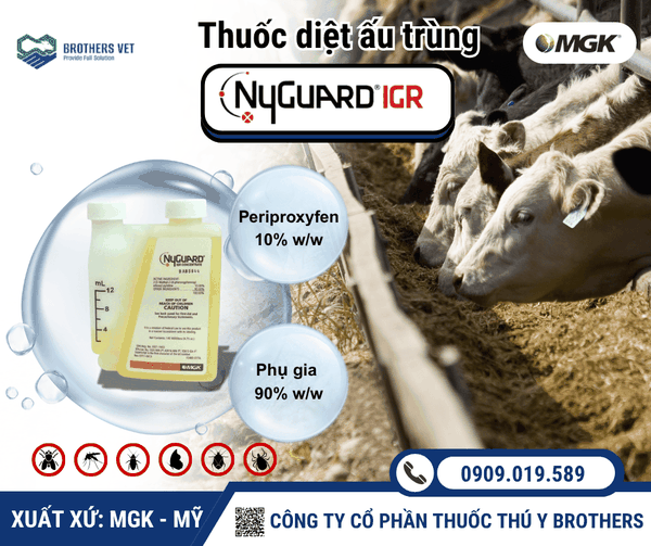 🐄 NYGUARD IGR – Giải pháp kiểm soát côn trùng tận gốc cho trang trại ...