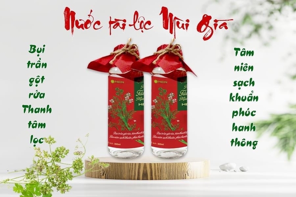 Nước thơm lá mùi già N24011107 Shop QM