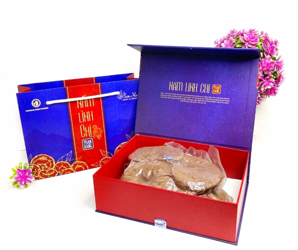 Nấm Linh Chi Phan Rang