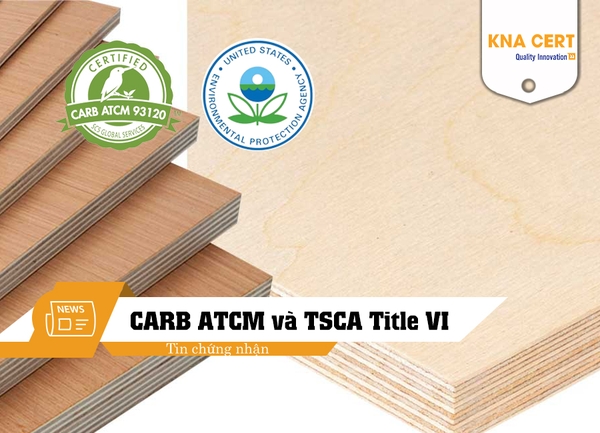 So sánh Tiêu chuẩn CARB ATCM và Tiêu chuẩn TSCA Title VI