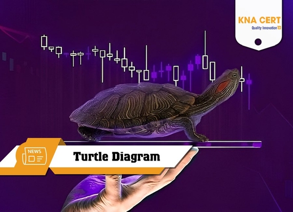 Tìm hiểu Mô hình con rùa/Sơ đồ con rùa (Turtle Diagram)