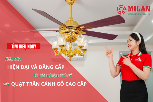 Thiết kế hiện đại và đẳng cấp với quạt trần cánh gỗ cao cấp