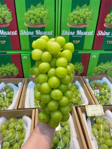 NHO MẪU ĐƠN 2 HỘP - SHINE MUSCAT - VIP