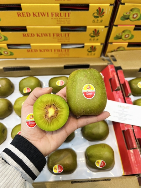 KIWI ĐỎ ĐÀI LOAN