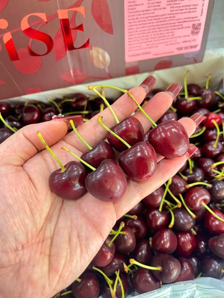Cherry Úc RISE Size 26 – Trái Tươi Giòn Mọng, Ngọt Sâu Chuẩn Chất Lượng ...