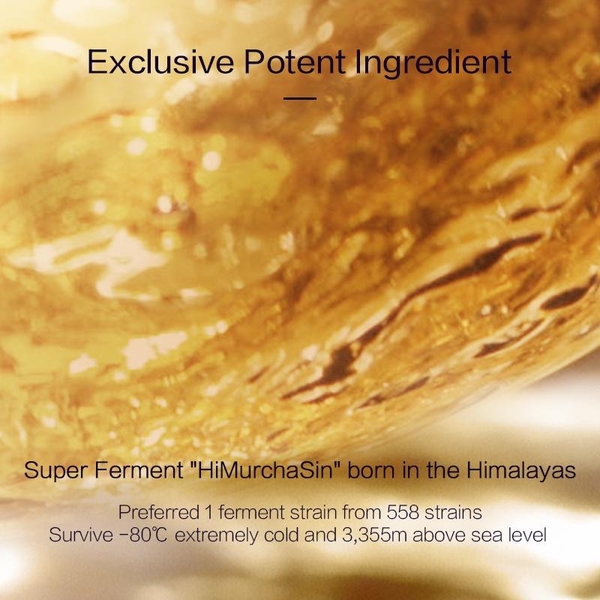 Chando Himalaya - Serum Thế Hệ Thứ 5 Chống Lão Hóa Da 50ml Làm Sáng ...