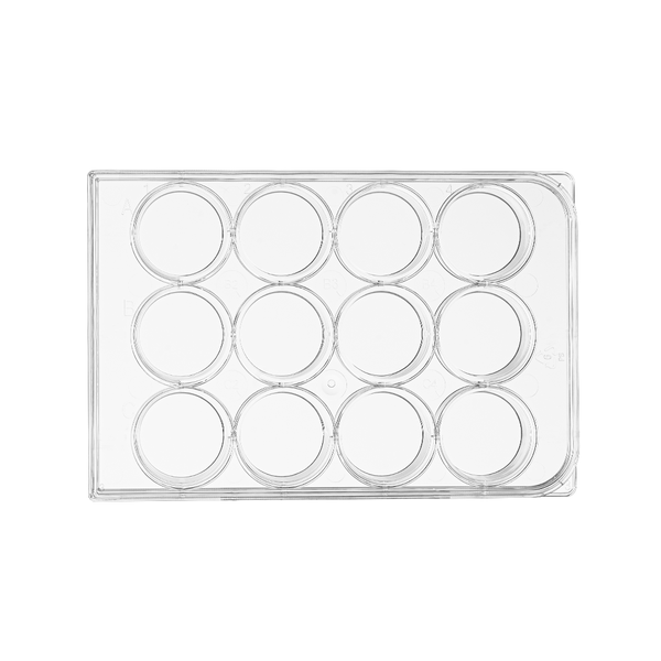 12-well cell culture plate, poly-D-lysine coated surface