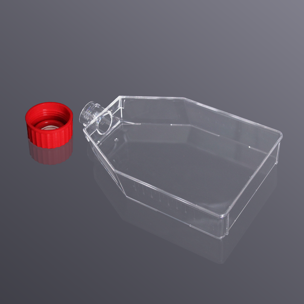 225 c㎡ cell culture flask (breathable cap, poly-D-lysine coated surface)