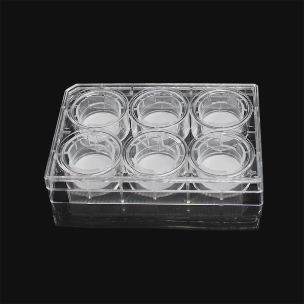 (14161) Cell culture chamber, including 6-well plate