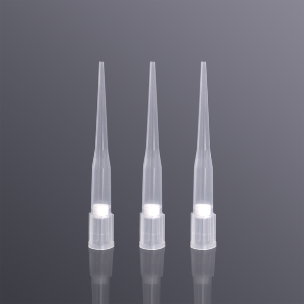 250ul boxed filter automatic tip (adapted to Beckman)