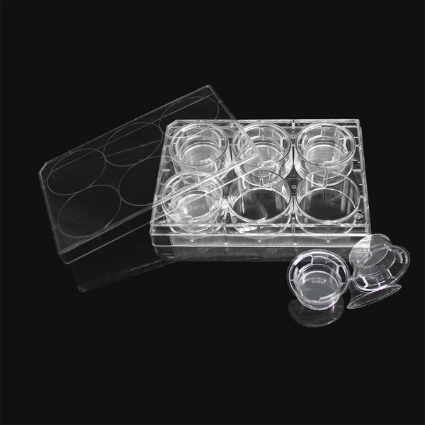 (14124) Cell culture chamber, including 6-well plate