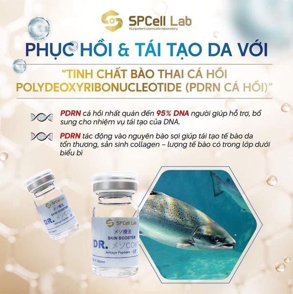 SPCELL LAB SKIN BOOSTER DR.COKTAIL / TIÊM MESO TINH CHẤT TẾ BÀO GIẢI ...
