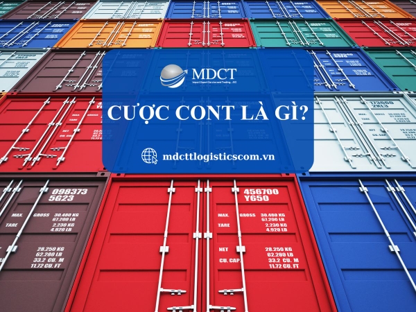 Cược cont là gì? Tại sao lại cược contㅣMDCT Logistics | MDCT - Moving ...