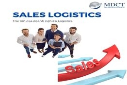Sales Logistics - Trái Tim Của Doanh Nghiệp Logistics | MDCT Logistics ...
