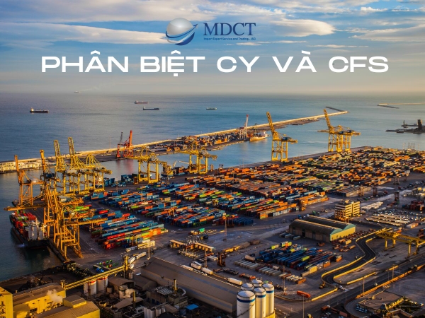 PHÂN BIỆT CY VÀ CFS | MDCT - Moving forward