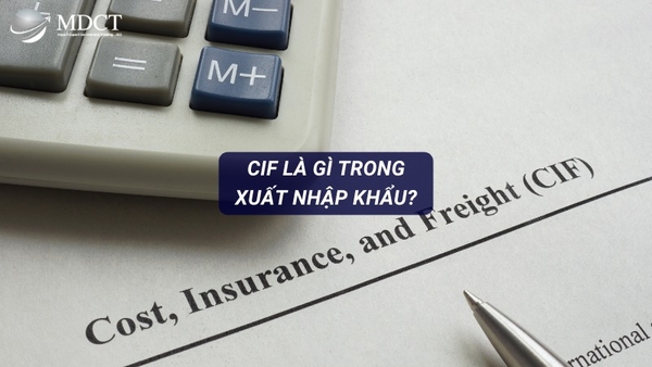 CIF là gì trong xuất nhập khẩu? Công thức tính giá CIF | MDCT - Moving ...