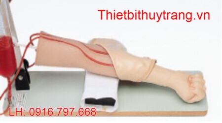 MÔ HÌNH TIÊM TRUYỀN TĨNH MẠCH CÁNH TAY LM-028 KOKEN
