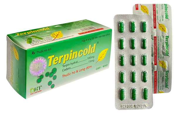 Terpin Cold (Terpin 100mg + Codein 15mg) DHT Nam Việt