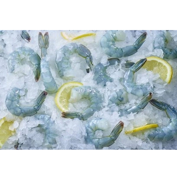 Raw Vannamei PTO Shrimp