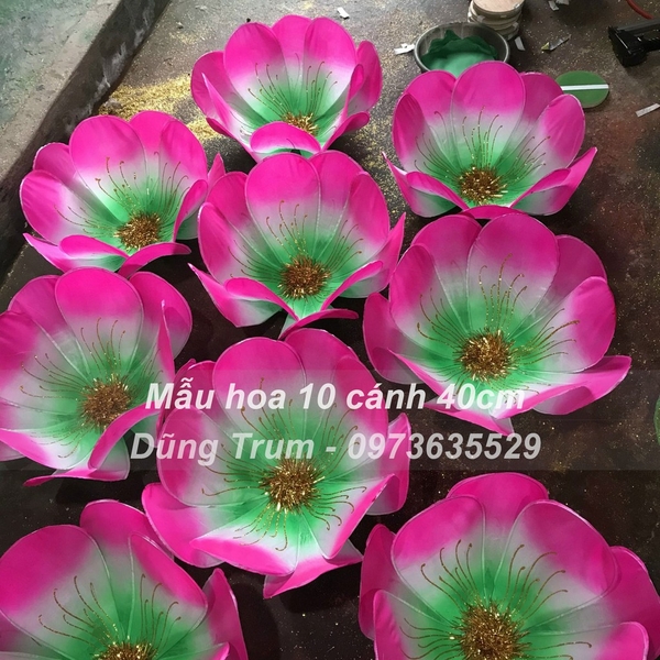 Hoa múa biểu diễn cho học sinh phối màu siêu đẹp