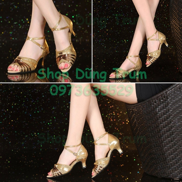 Giày Khiêu Vũ Dance Sport, Giày Nhảy Latin Người Lớn KV23