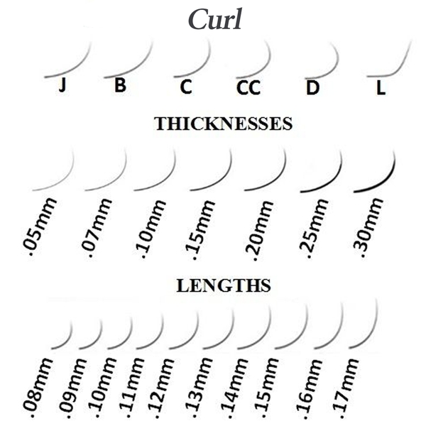 Rapid Promade Fans 3D - 20D 1000 Fans Curl C/D/CC/J/B/L/M Length 8 to ...