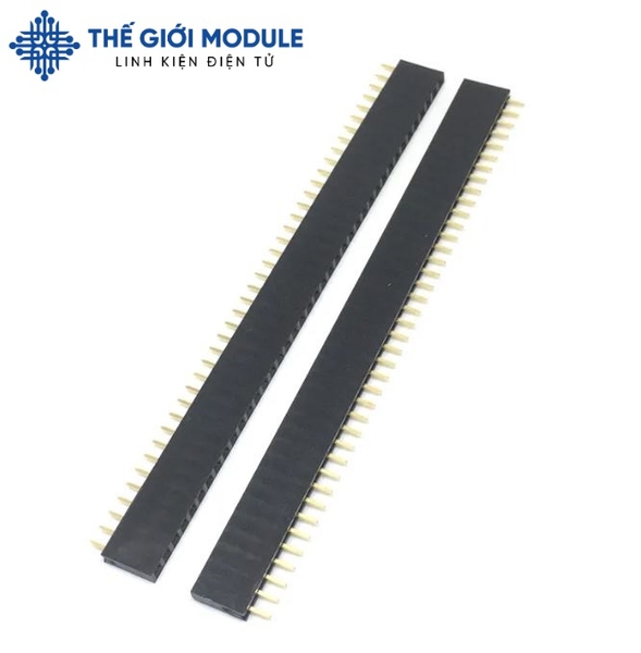 Hàng rào 1X40-2.54MM Female | Thế Giới Module