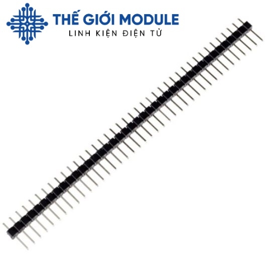 Hàng rào 1X40-2.54MM Male | Thế Giới Module