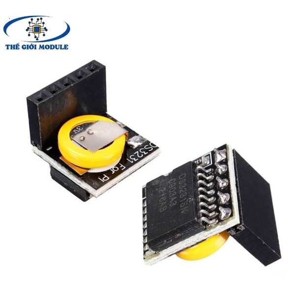 Module thời gian thực RTC DS3231 cho Raspberry Pi | Thế Giới Module