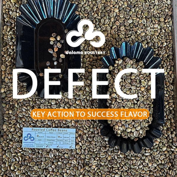 Defects trong cà phê - Key Action to Success Flavor