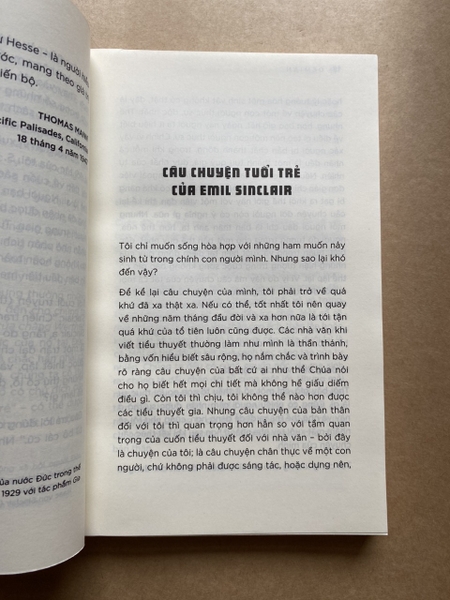 Demian: Câu Chuyện Tuổi Trẻ Của Emil Sinclair