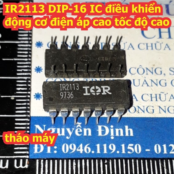 Đện tử Khải Định - Thỏa sức đam mê