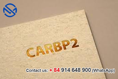 CHỨNG CHỈ CARB P2 LÀ GÌ? TẤT TẦN TẬT THÔNG TIN CHI TIẾT NHẤT Công ty ...