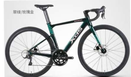 Xe đạp đua XDS AD300
