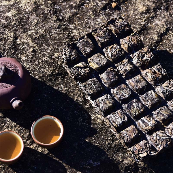 BÁNH BẠCH TRÀ MÂY 2020 TÀ XÙA - BÁNH TRÀ CỔ THỤ SHAN TUYẾT VIỆT NAM ...