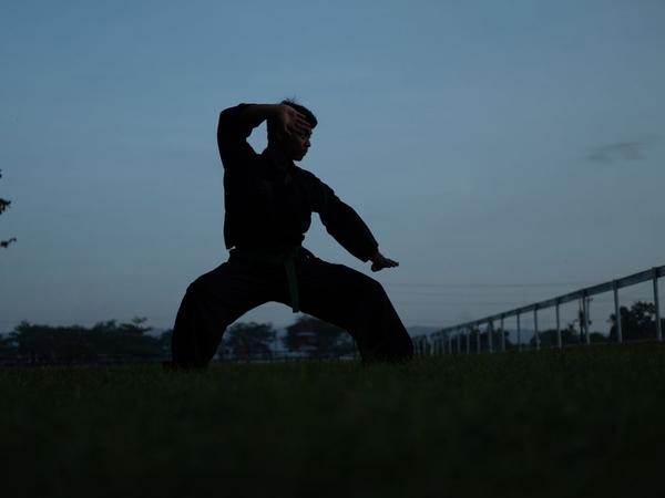 Những môn võ mạnh nhất Việt Nam - Võ thuật Việt vươn tầm thế giới