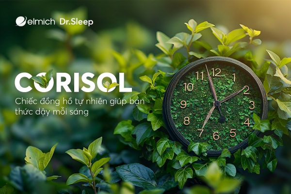 Corisol - Chiếc đồng hồ tự nhiên giúp bạn thức dậy mỗi sáng