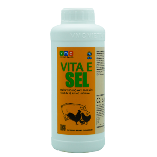 VITA E – SEL VIETNAMVMC