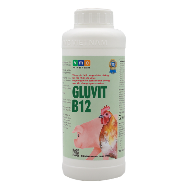 GLUVIT B12 VIETNAMVMC